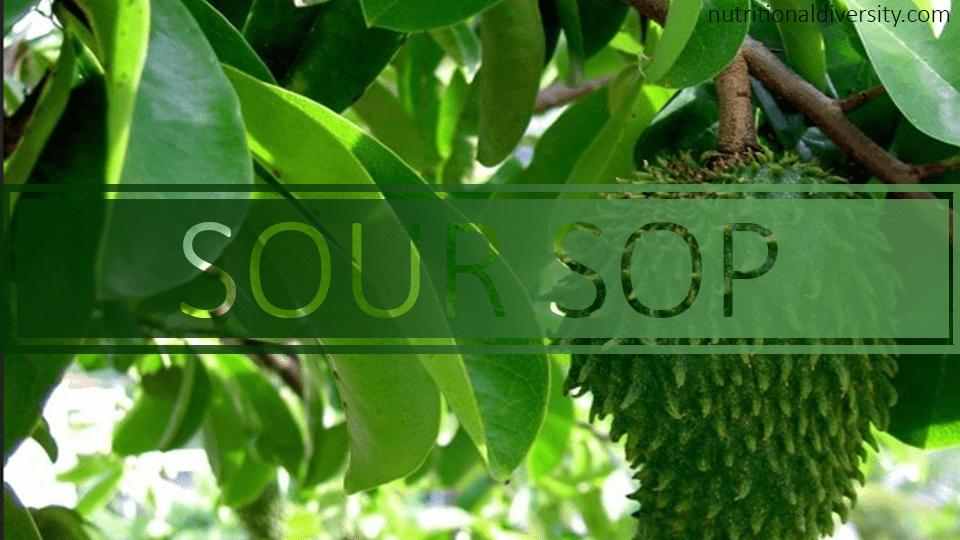 Best Guanabana, Sour Sop Rankings, Benefits, Side Effects & Experience
