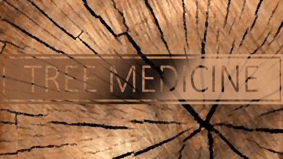 Best Tree Medicine Targua, Tea-Tree, Turpentine Rankings & Experience ...